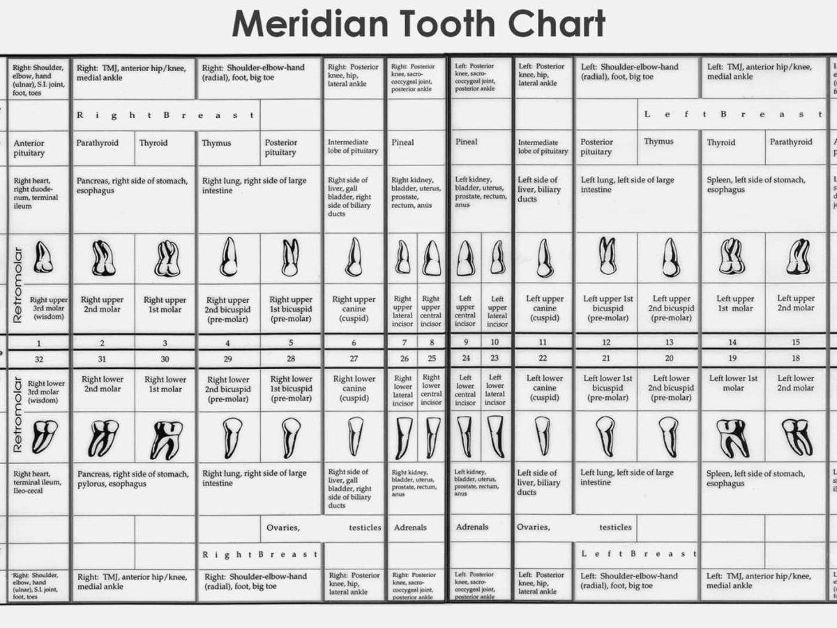 Foot Meridian Chart Meridian Tooth Chart | Total Mouth Fitness